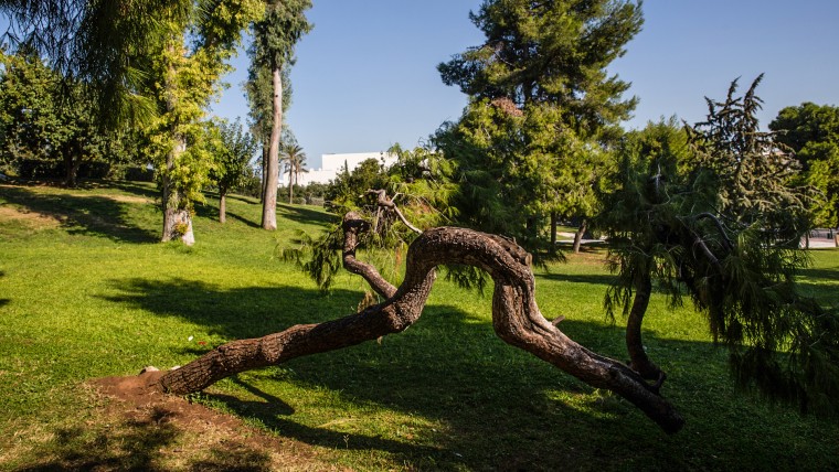 8 πανέμορφα πάρκα της Αττικής που πρέπει να επισκεφθείτε με τα παιδιά ...