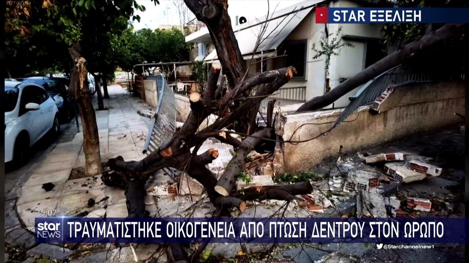 Ωρωπός: Από θαύμα γλίτωσε τετραμελής οικογένεια όταν δέντρο έπεσε στο ...